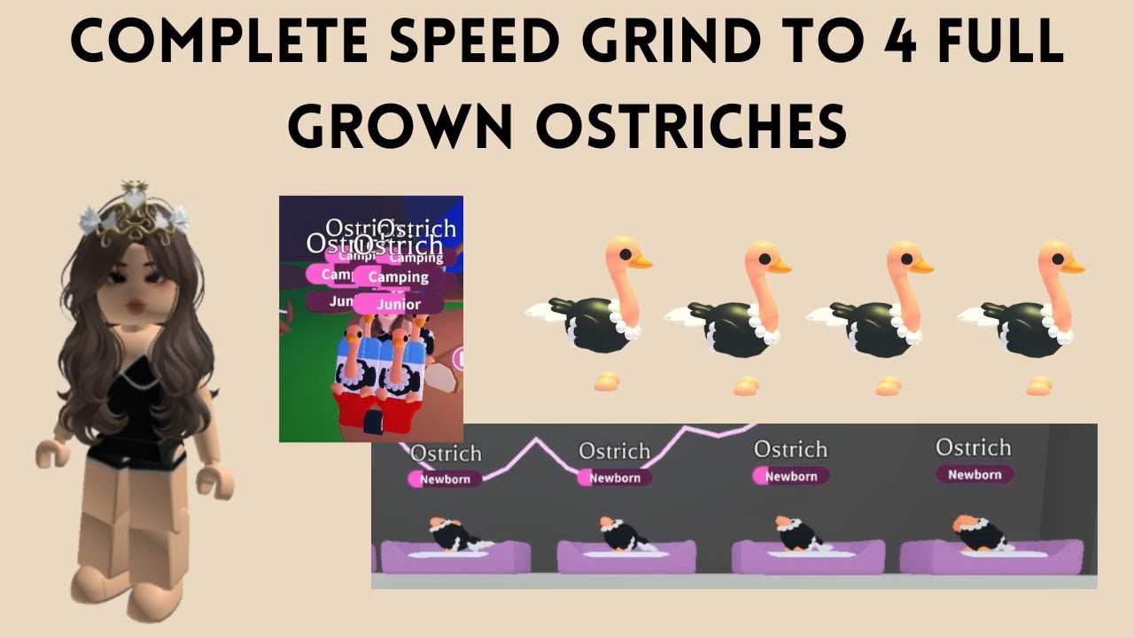 Complete Speed Grind To 4 Full Grown Ostriches | Adopt Me - YouTube