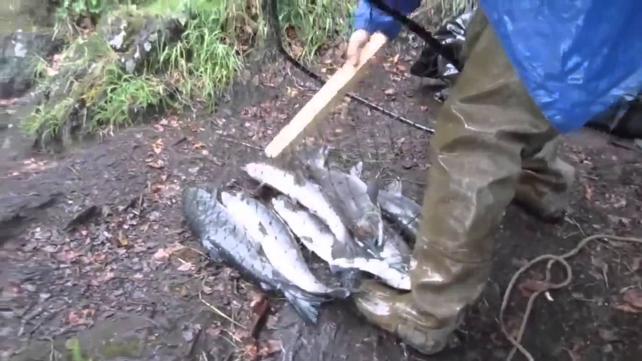 Fishing Like a Boss - YouTube