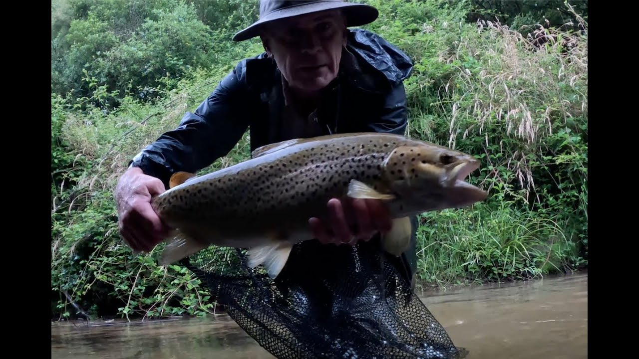 fly fishing a monster 23" 6lb wild brown trout in an amazing tiny ...
