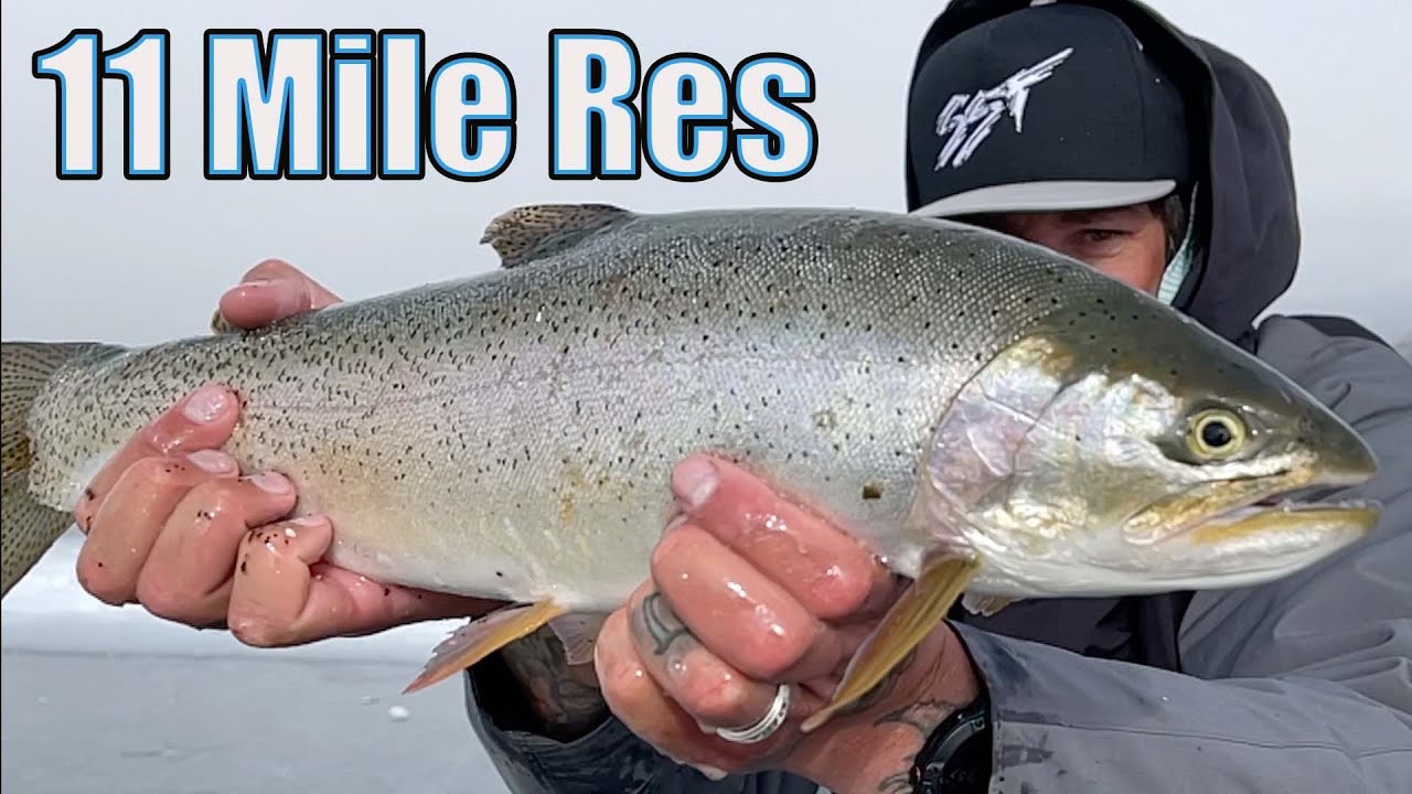 Ice Fishing Colorado's INFAMOUS Eleven Mile Reservoir for TROUT - YouTube
