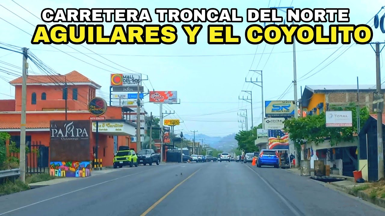 ASI SE ENCUENTRA TRONCAL DEL EN AGUILARES Y EL COYOLITO. - YouTube