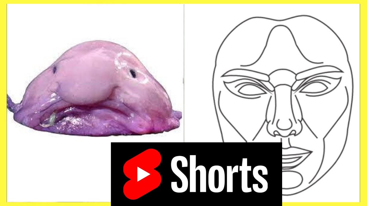 I did the perfect face surgery on Blob fish and the outcome is so ...