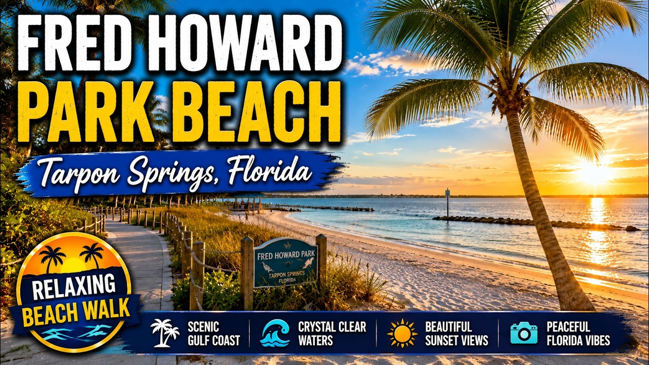 Fred Howard Park Beach - Tarpon Springs, Florida | Walkthrough - YouTube
