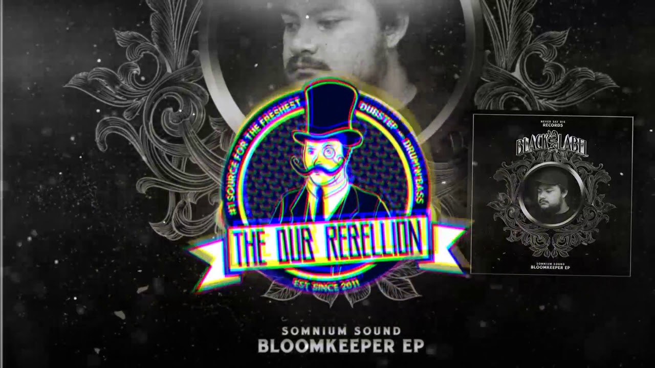 Somnium Sound - Bloomkeeper (LUX Remix) - YouTube