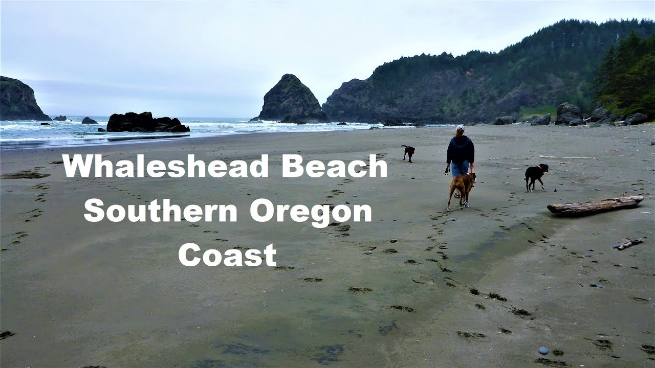 Whaleshead Beach Southern Oregon Coast Samuel H. Boardman Scenic ...