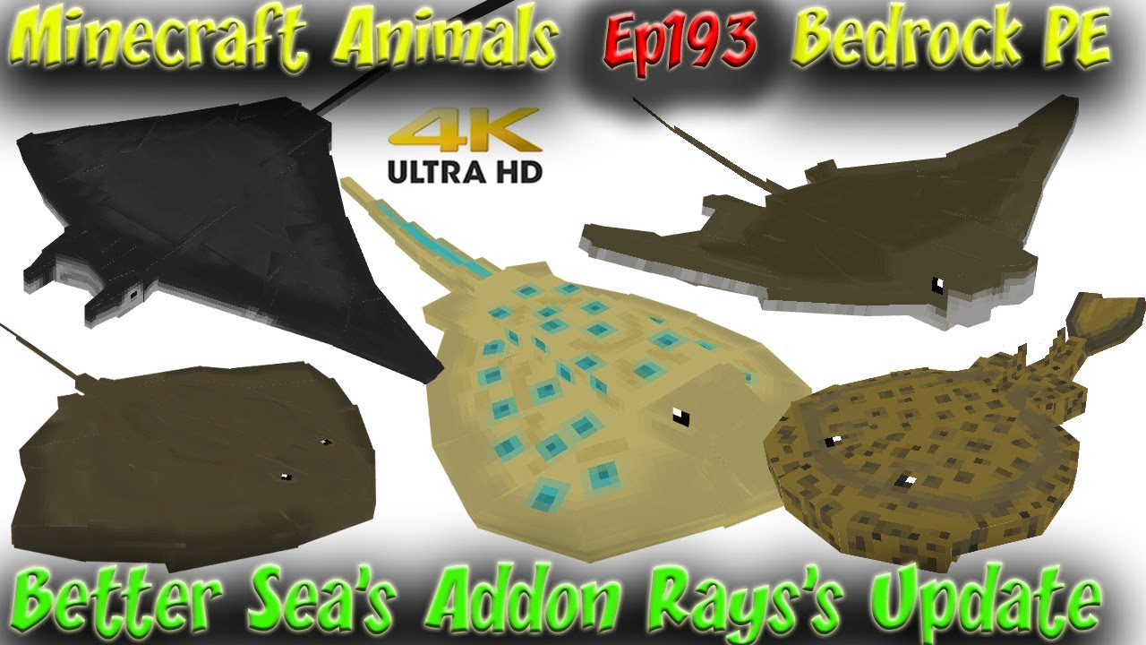 Better Seas Addon Fish Update Showcase New Ray's & Shark Minecraft ...