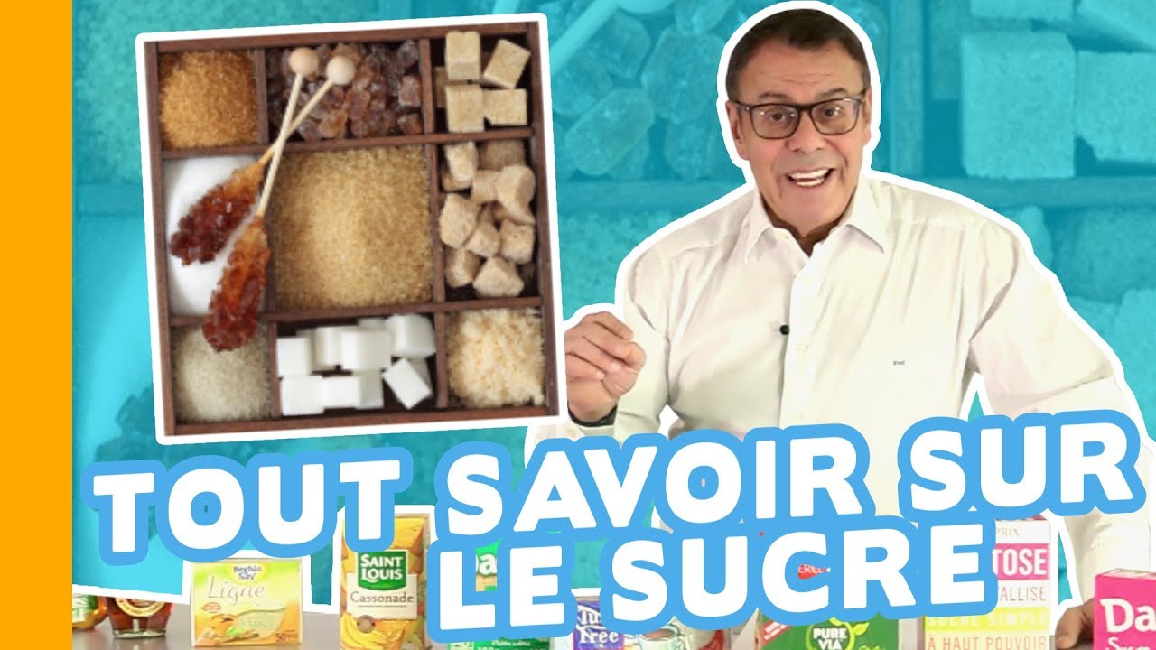🍰Sucre Blanc, Sucre de Canne, Glucose-Fructose -Tout Savoir Sur les ...