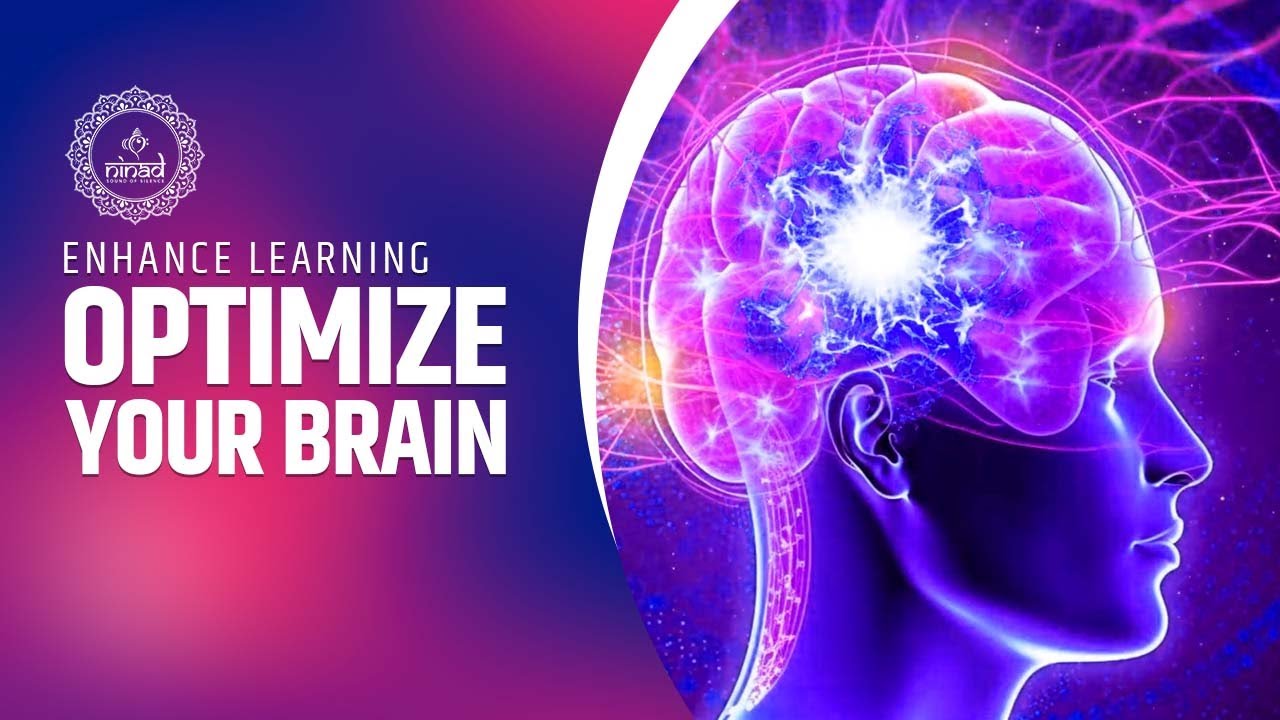 Optimize Your Brain: Harness Neuroplasticity With Theta Waves | Enhance ...