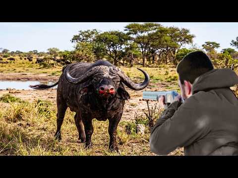 One step away from an inevitable confrontation—the most dangerous big-game hunting adventure.