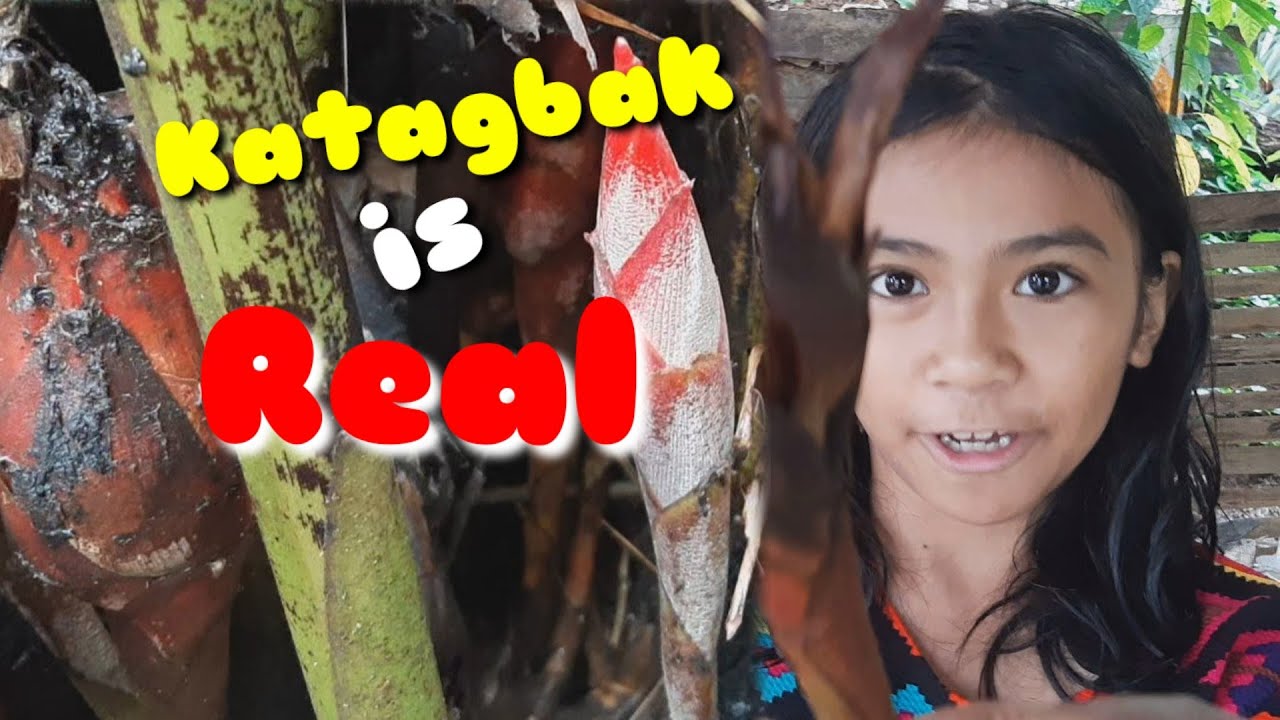 KATAGBAK | FRUIT - YouTube
