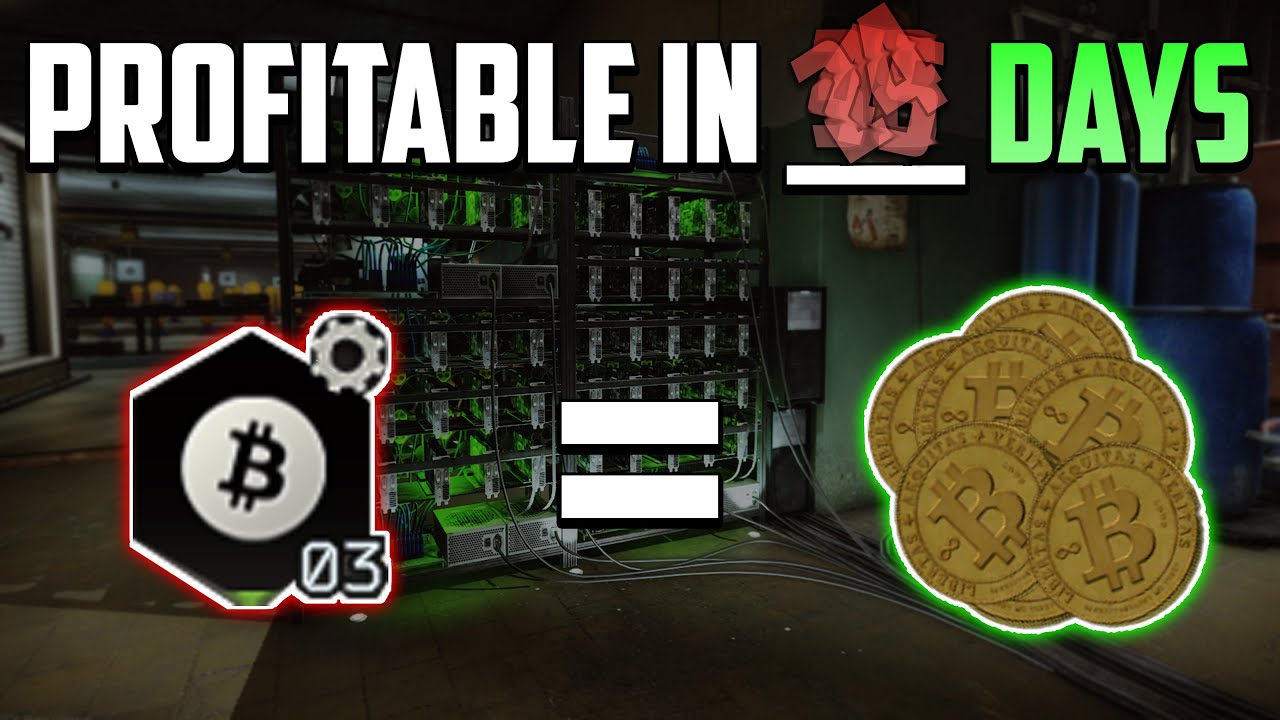 Here's why Level 3 bitcoin farm is WORTH it // Escape from Tarkov - YouTube
