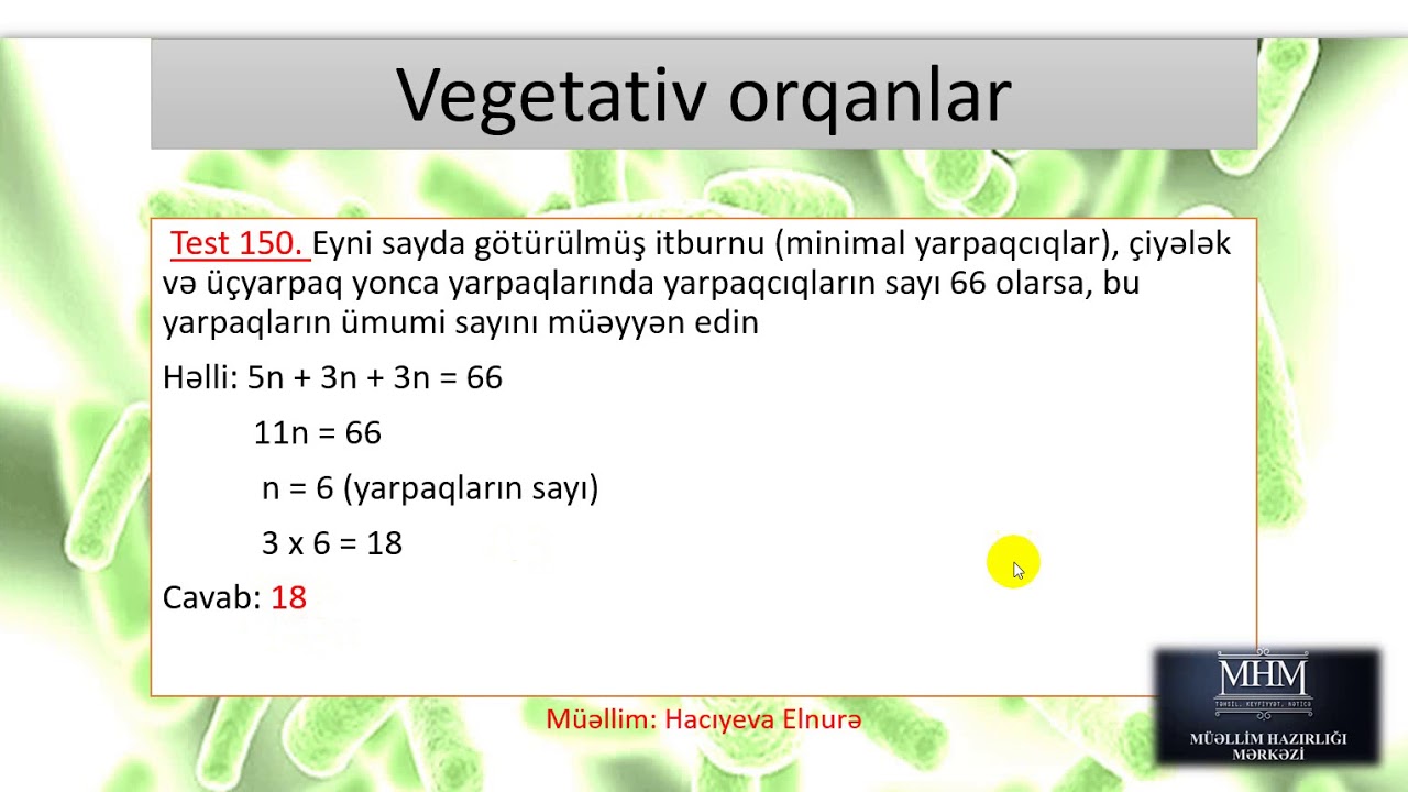 Vegetativ orqanlar test 150 - 152 - YouTube