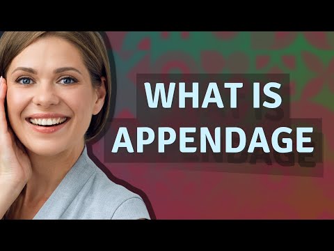 Appendage | meaning of Appendage - YouTube