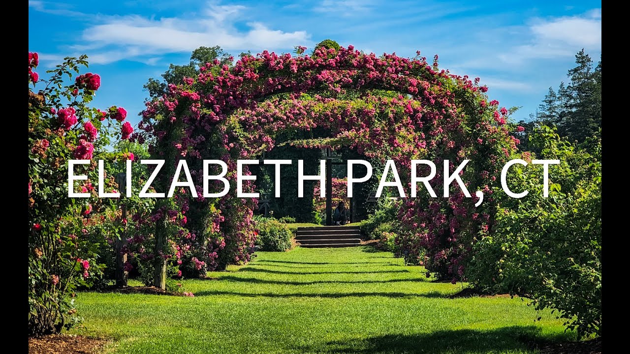 Elizabeth Park Rose Garden, Hartford CT (GoPro 10 Cinematic) 4K - YouTube
