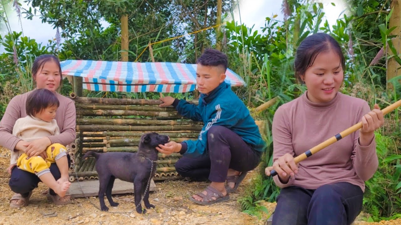 Duong was happy - Lover gives gift, Thang helped build the dog cage ...