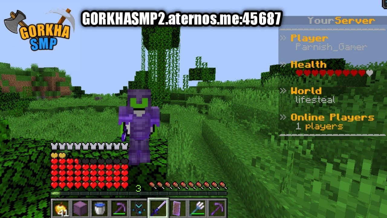 MINECRAFT LIVE STREAM | JOIN MY PUBLIC SMP JAVA / POCKET EDITION 24/7 ...
