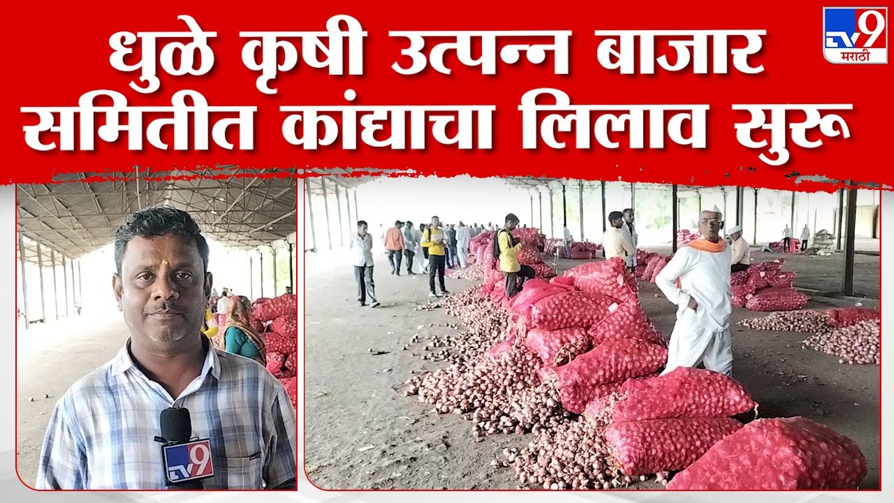 Dhule : अवघ्या 400 ते 2 हजारांना कांद्याची विक्री, नाफेड केंद्र सरु ...