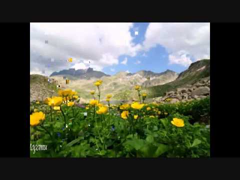 Habu akan dereler,denizlere dolacak...