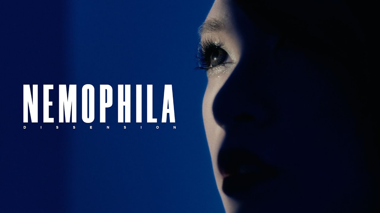 NEMOPHILA / DISSENSION U.S. Ver. [Official Music Video] - YouTube