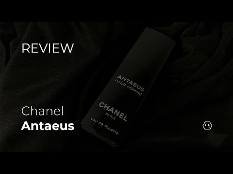 Antaeus Chanel | Male designer fragrances | Memory Flo
