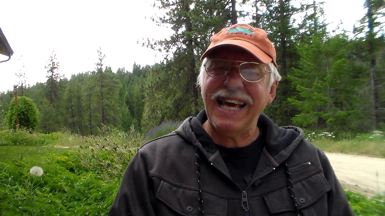 The Why Guy - Instinct versus Awareness - YouTube