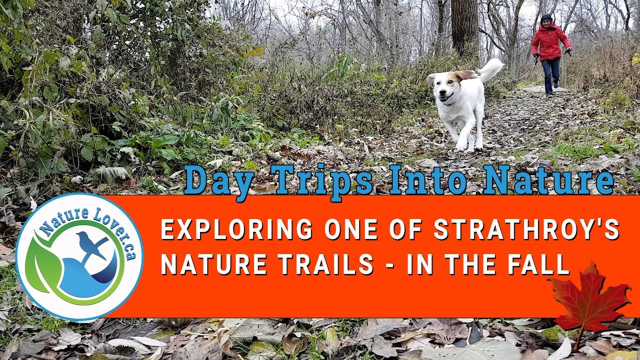 Day Trips Into Nature - Exploring One Of Strathroy's Nature Trails In ...