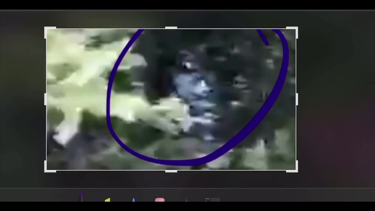 Blue Tree People/Cryptids in the National Forest - YouTube