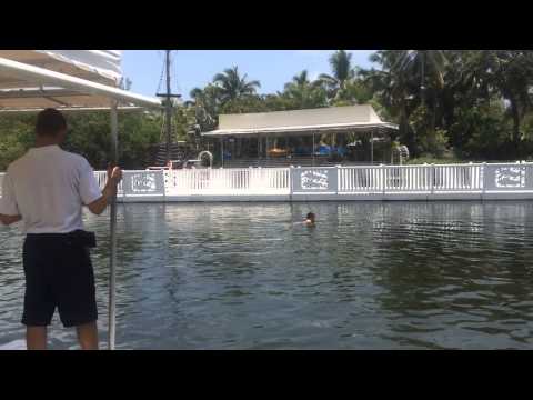 Laney's Birthday Dolphin Swim