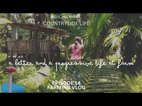 Ep14: Slow but a progressive life in a countryside | Philippines | # ...