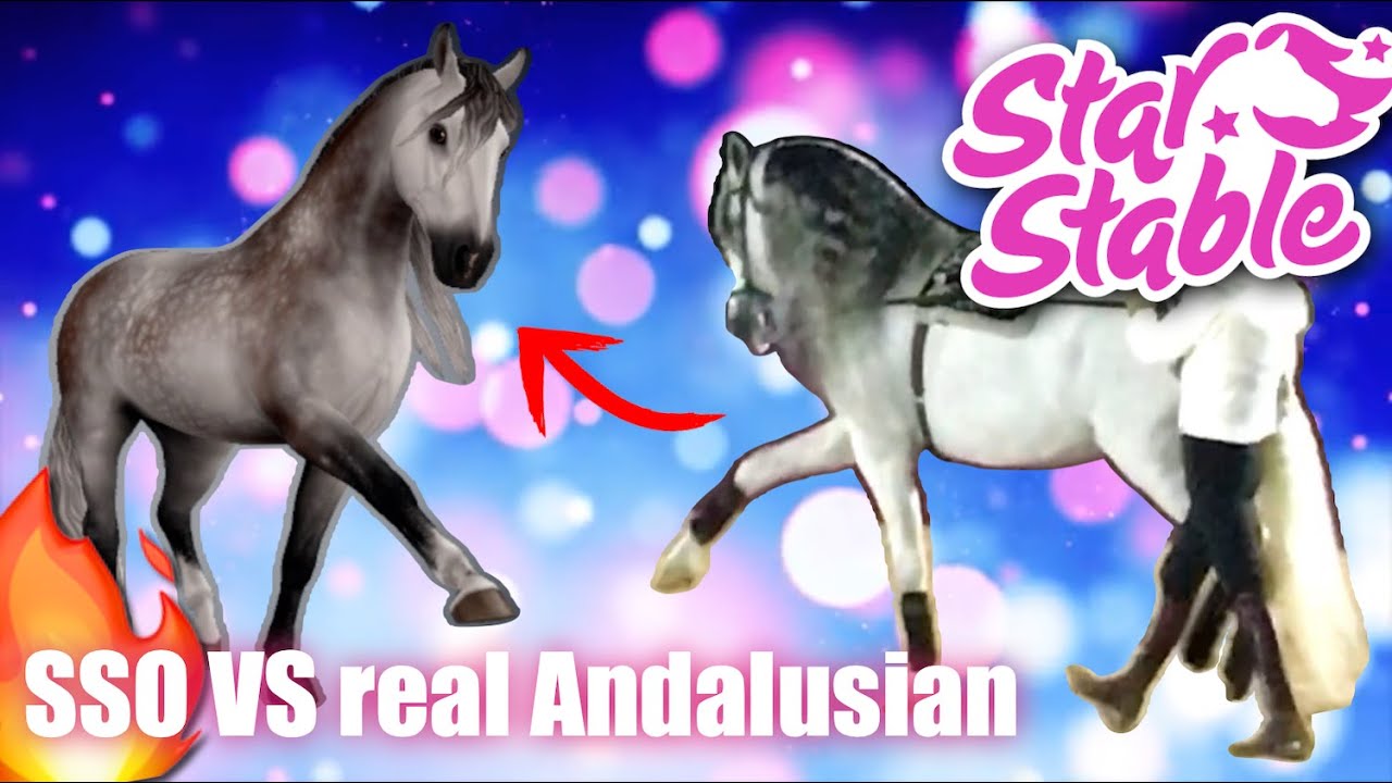 😱SSO VS Real Life😱 NEUE ANDALUSIER bewerten, Trailblazer Track ...