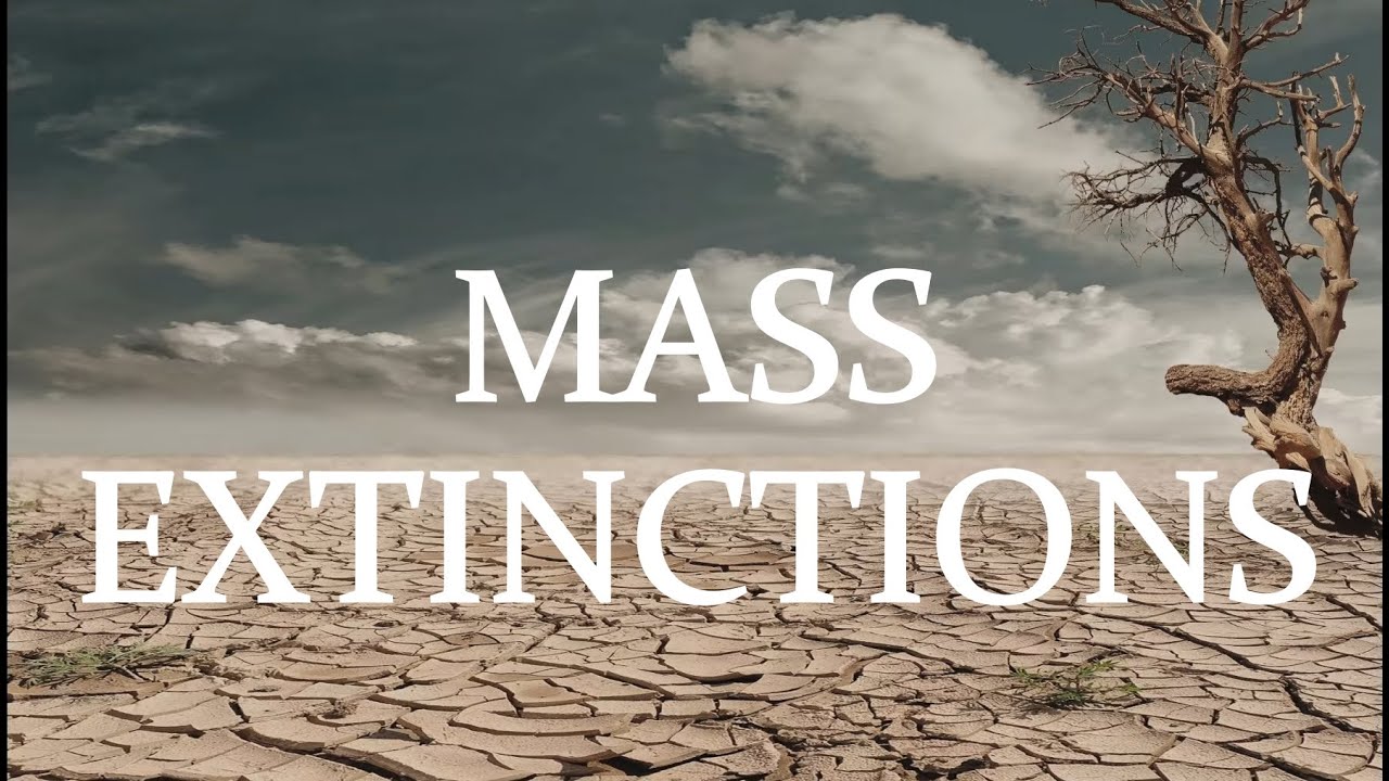 Mass extinctions, extinction through planet history. Evolution ...