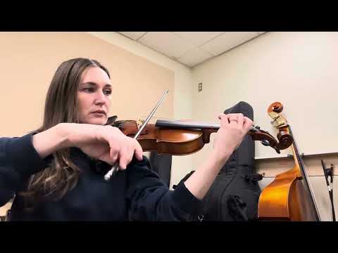 Overture to the Magic Flute- Viola