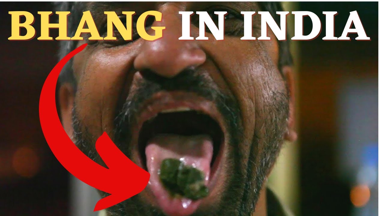 “The Most DANGEROUS Drug In The World - Bhang” | Don't Try This ...