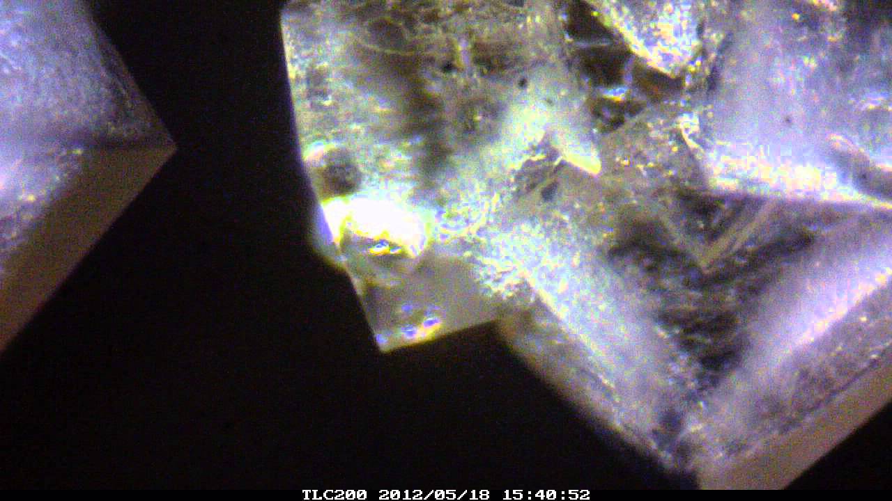 Microscope Time Lapse-Salt Crystals (Brinno LabCam) - YouTube