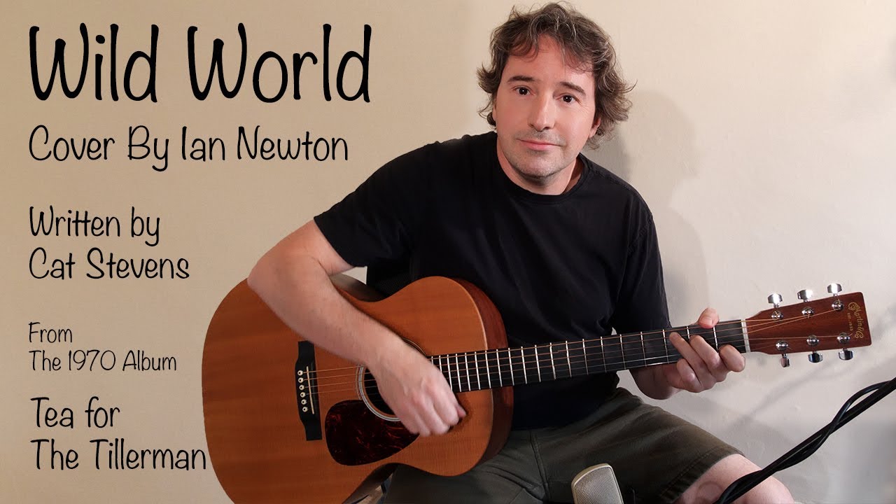 Cat Stevens - Wild World | Ian Newton cover - YouTube Music