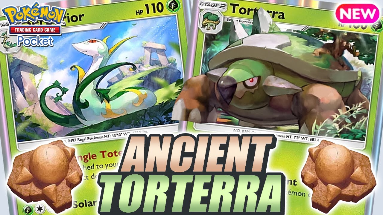 GENIUS ! This is the BEST Way to Play TORTERRA ! - Pokemon TCG Pocket ...