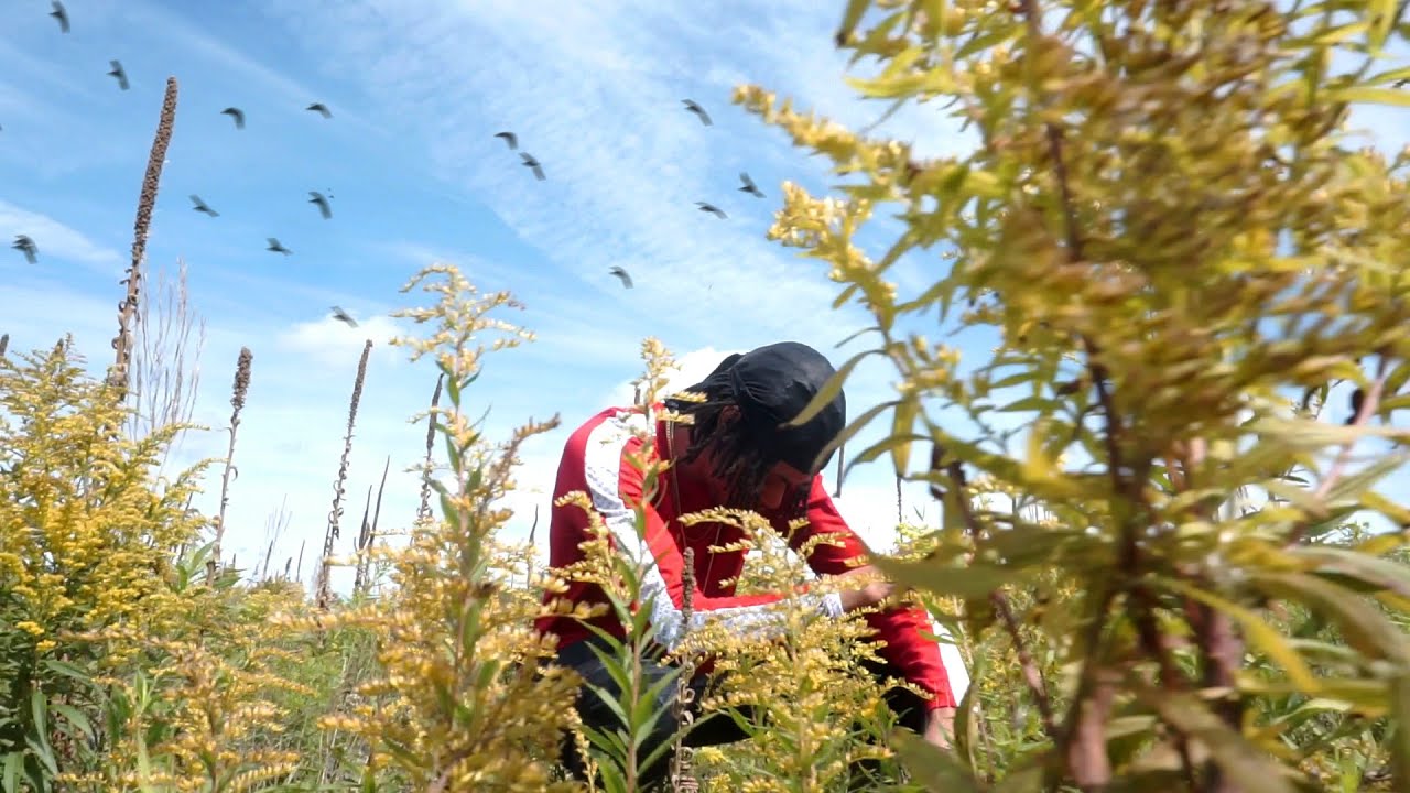 Kydea (Ft. Money Meech) - Right Off The Bat (Official Music Video ...