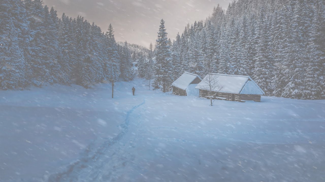 Howling Winter Storm Wind Sounds, for Deep Sleep and Relaxation | 10 ...