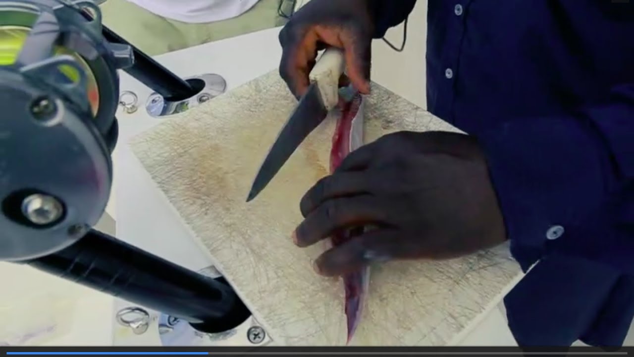 How to Rig a Bonito Strip Bait - YouTube