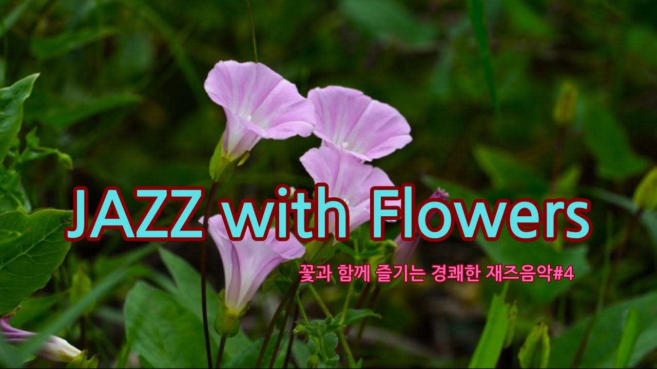Jazz with Flowers #4, 경쾌한 재즈, Cheerful jazz music #jazzpiano #jazzmusic ...