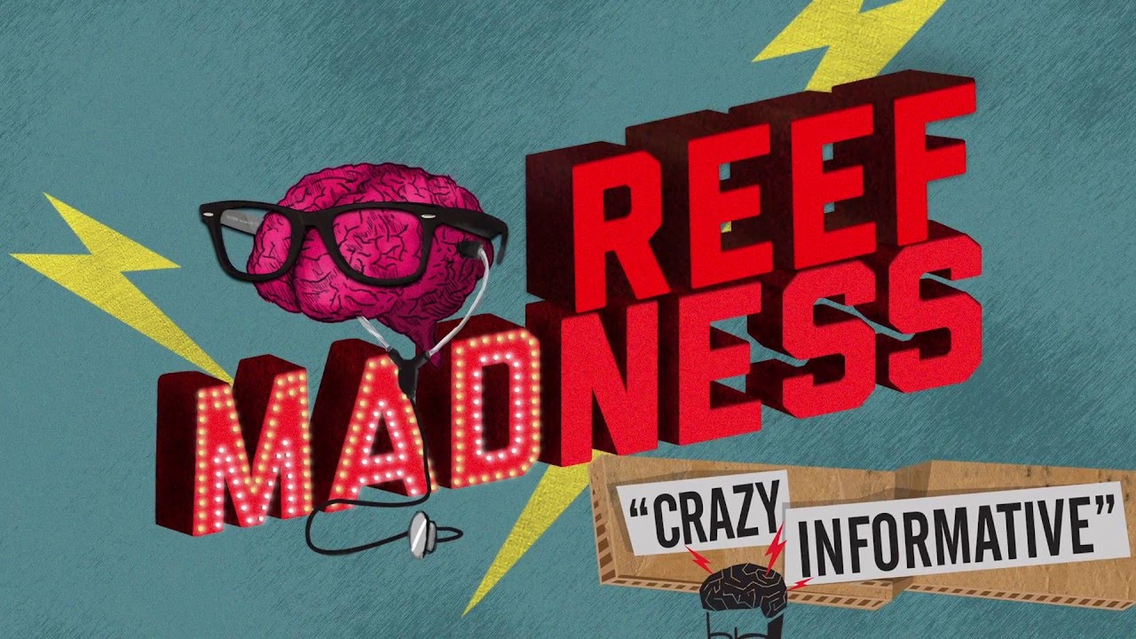 Reef Madness Trailer - YouTube