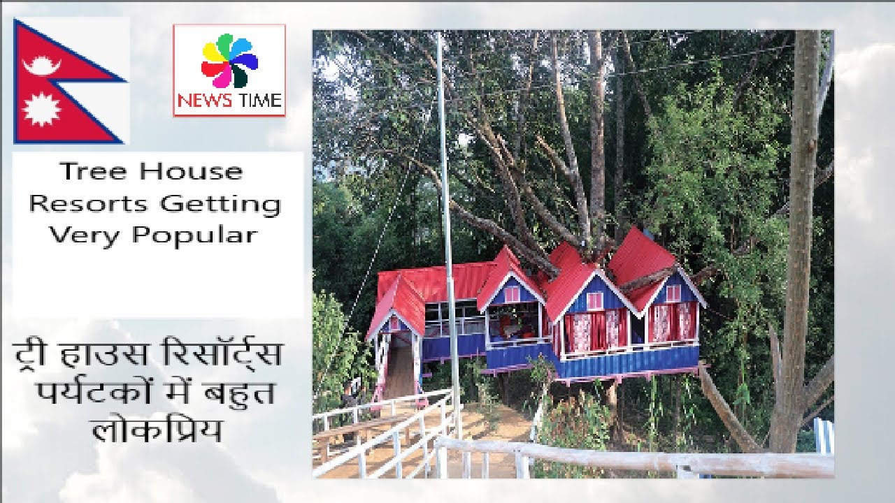 Nepal: ट्री हाउस रिसॉर्ट्स पर्यटकों में बहुत लोकप्रिय, Tree House ...
