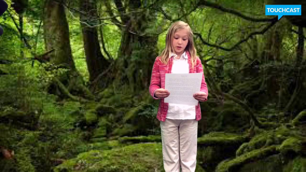 Addison- Jane Goodall - YouTube
