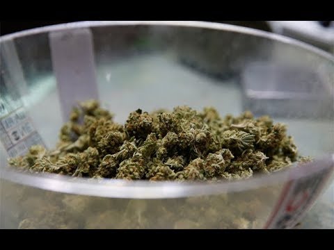 Cannabis News - Wrapped Up | Ep. 307 | 01-08-2019