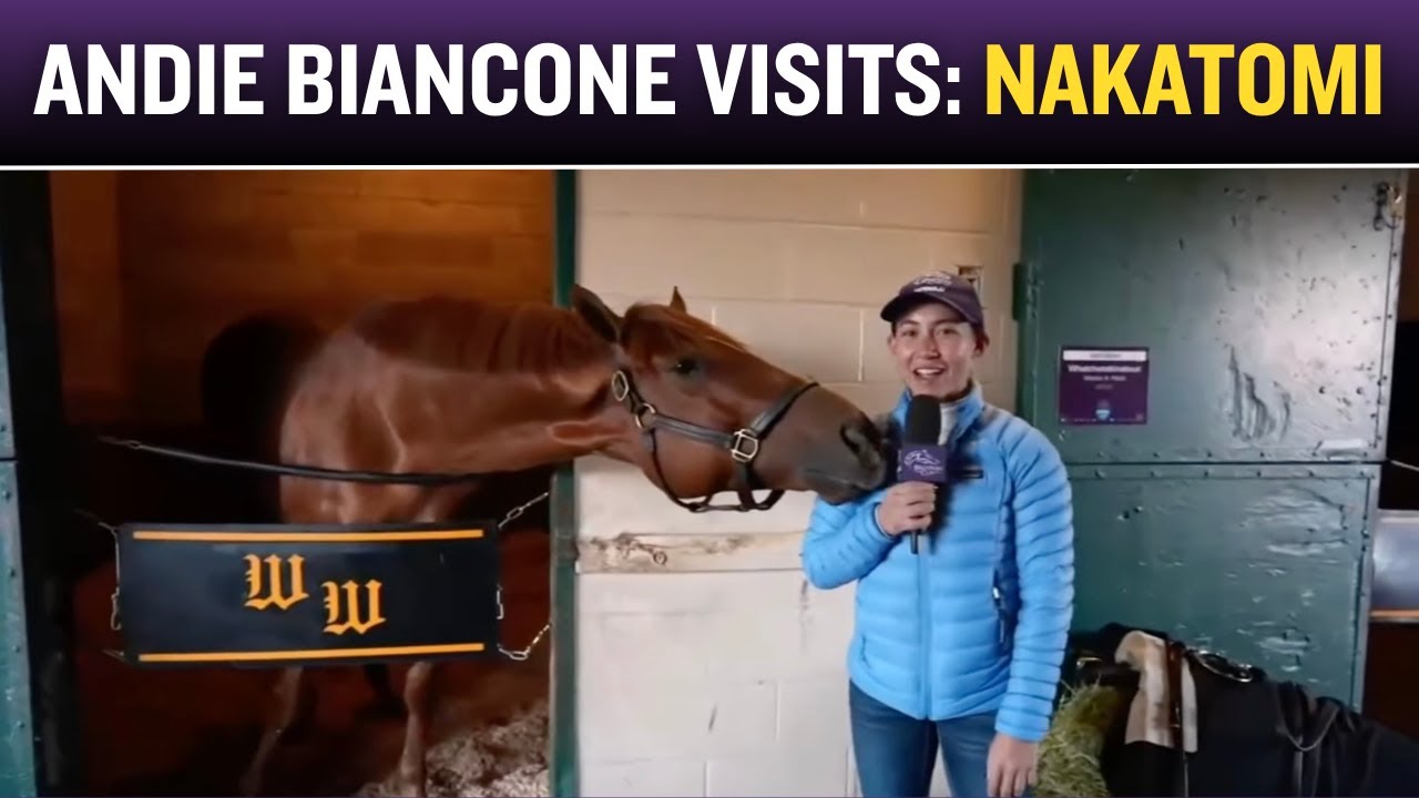 Andie Biancone With NAKATOMI at Breeders' Cup - YouTube