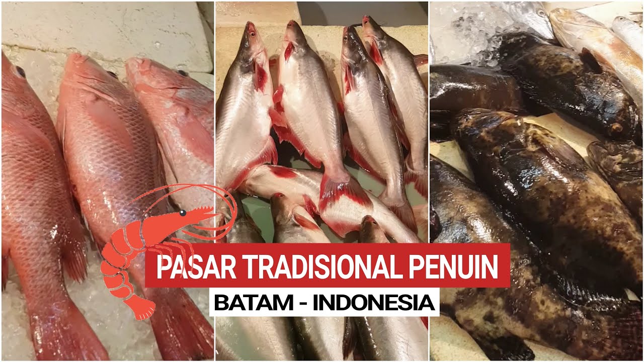 Bukan Pasar Tradisional WUHAN Ini Pasar Tradisional PENUIN BATAM - YouTube