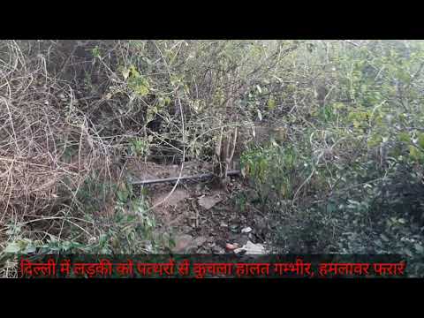 Bonta park news 22 Feb