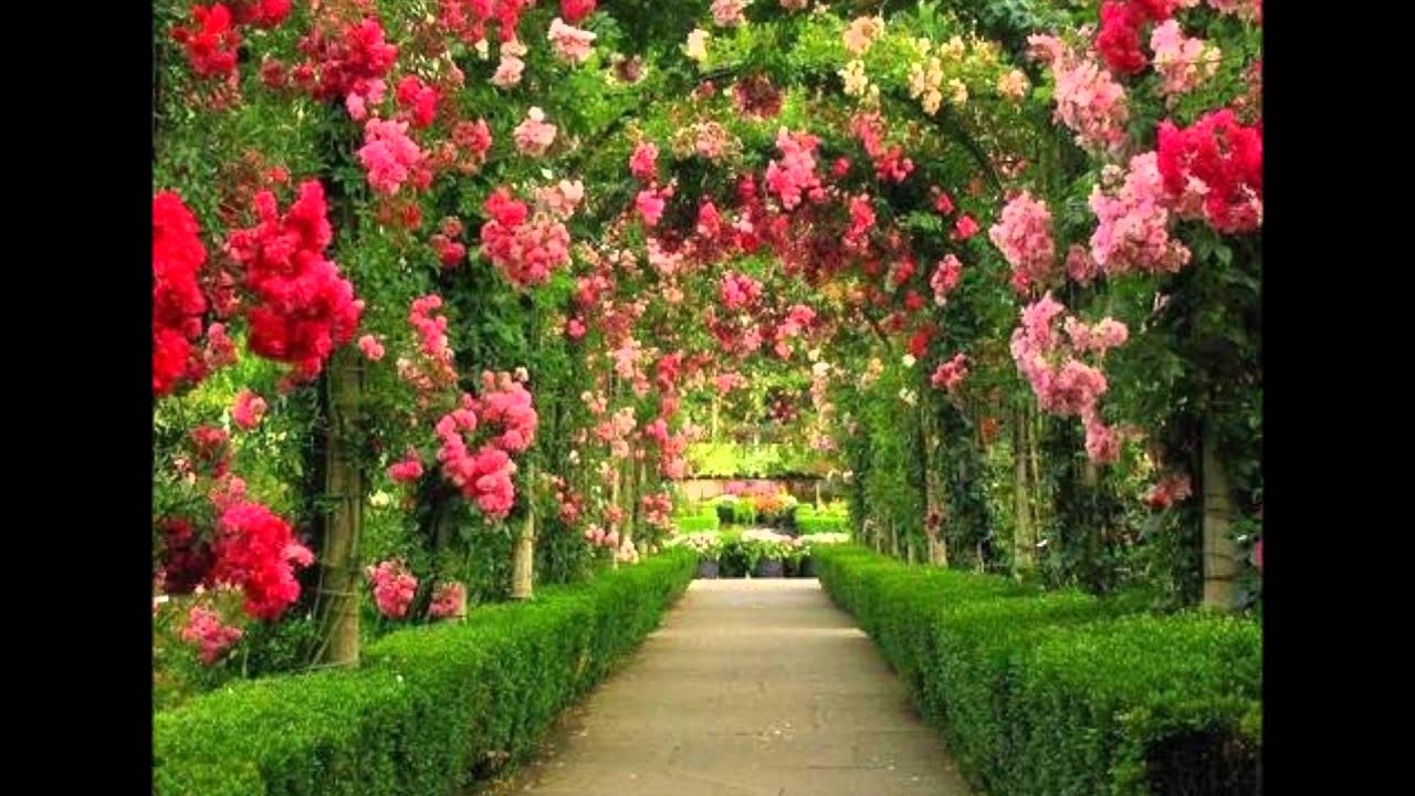 Canaan's Land - YouTube