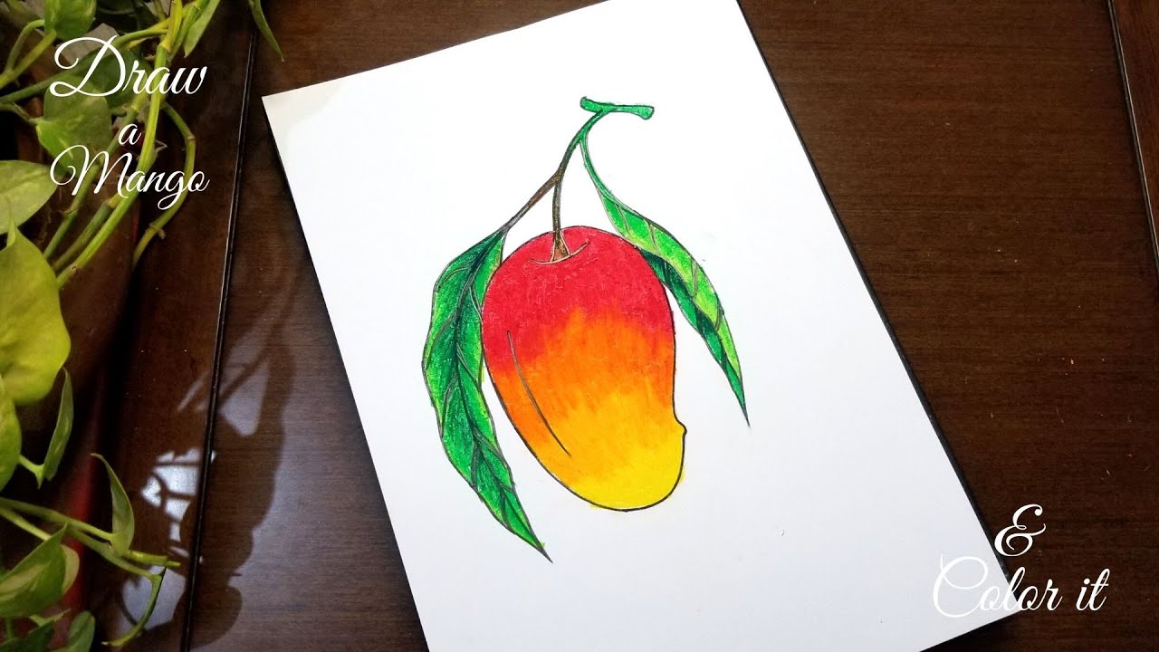 how to draw mango | draw a mango step by step | draw a ripe mango | আম ...