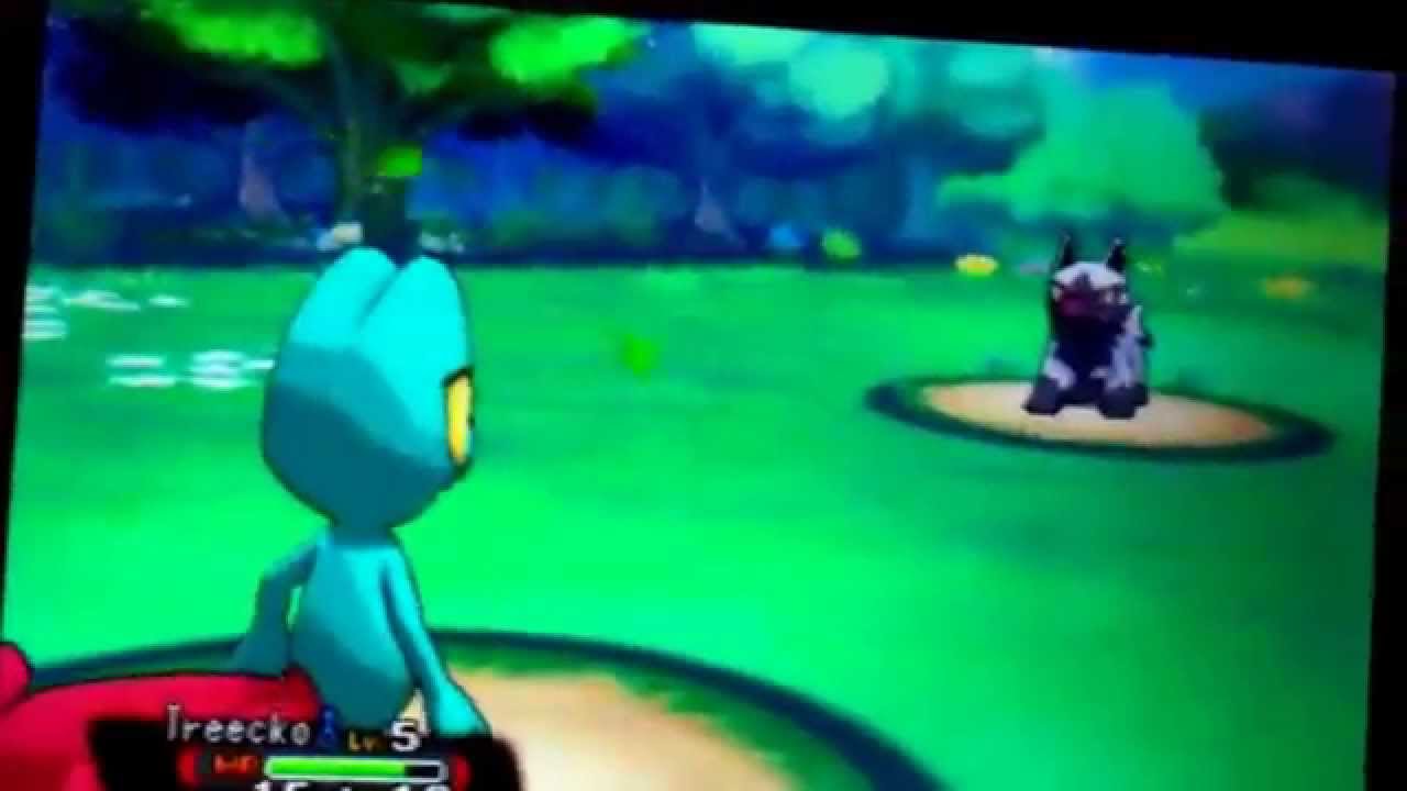 OMFG!!!!!!! (FIRST ON YOUTUBE) First Shiny on ORAS Shiny Treecko after ...